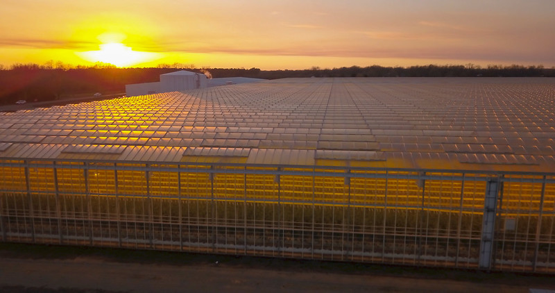 Controlled Environment Agriculture: Georgia’s Fastest-Growing ...