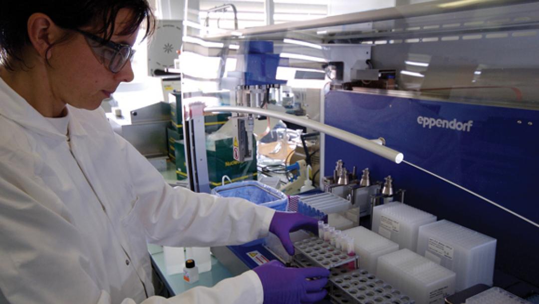 Global access, partnerships in Georgia help Merial meet world needs ...