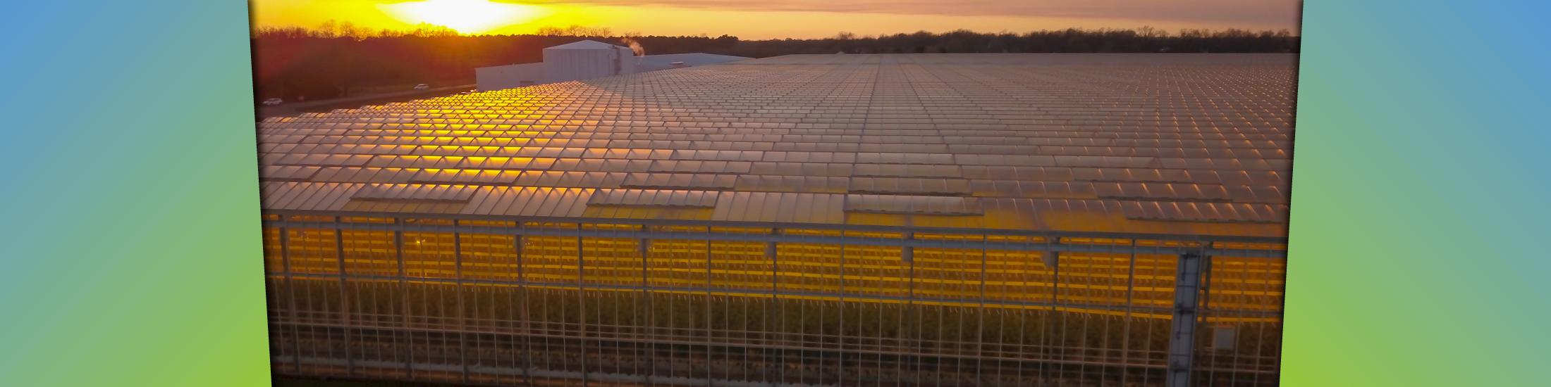 Georgia Controlled Environment Agriculture | Georgia Department of ...